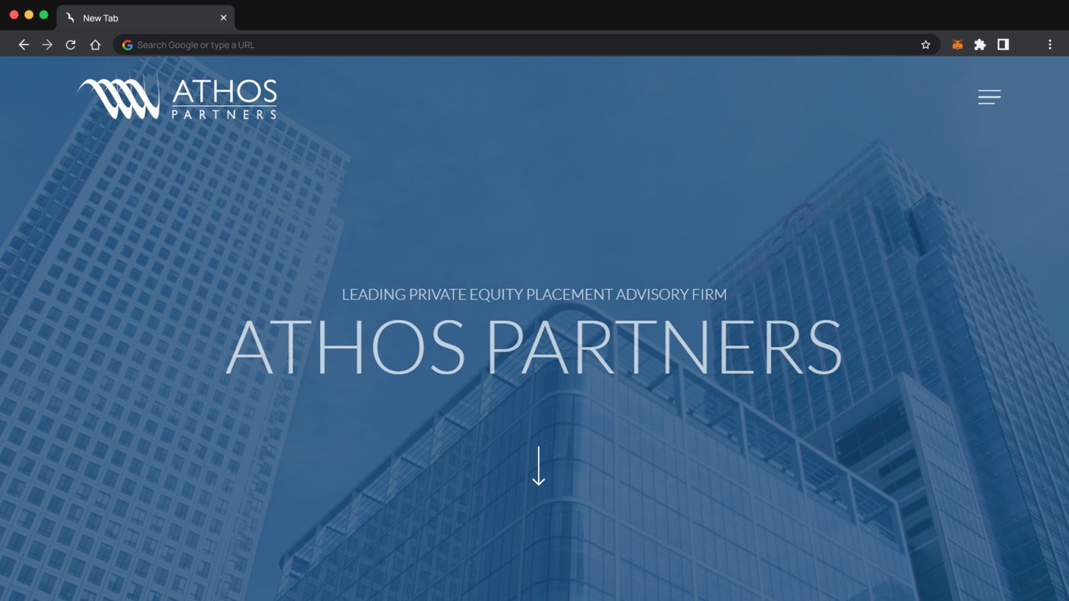 Athos Partners Case Study - Bird Marketing